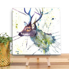 Splatter Stag – Scotland's Bothy