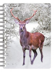Scottish Stag 3D Notebook – Scotland's Bothy